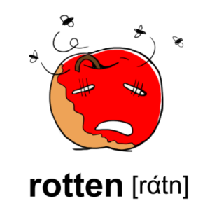 【イラスト】rottenの意味、読み方 | イラストと語呂合わせで覚える英単語